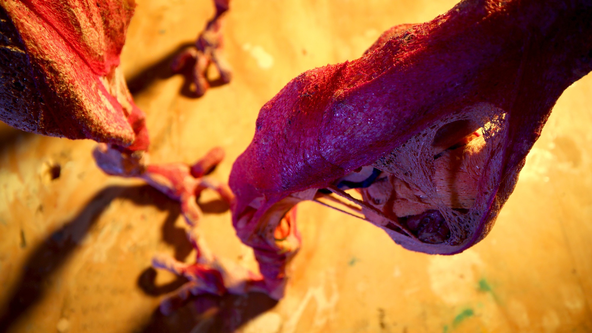 Animation Faculty Q&A: Stephanie Williams | MICA