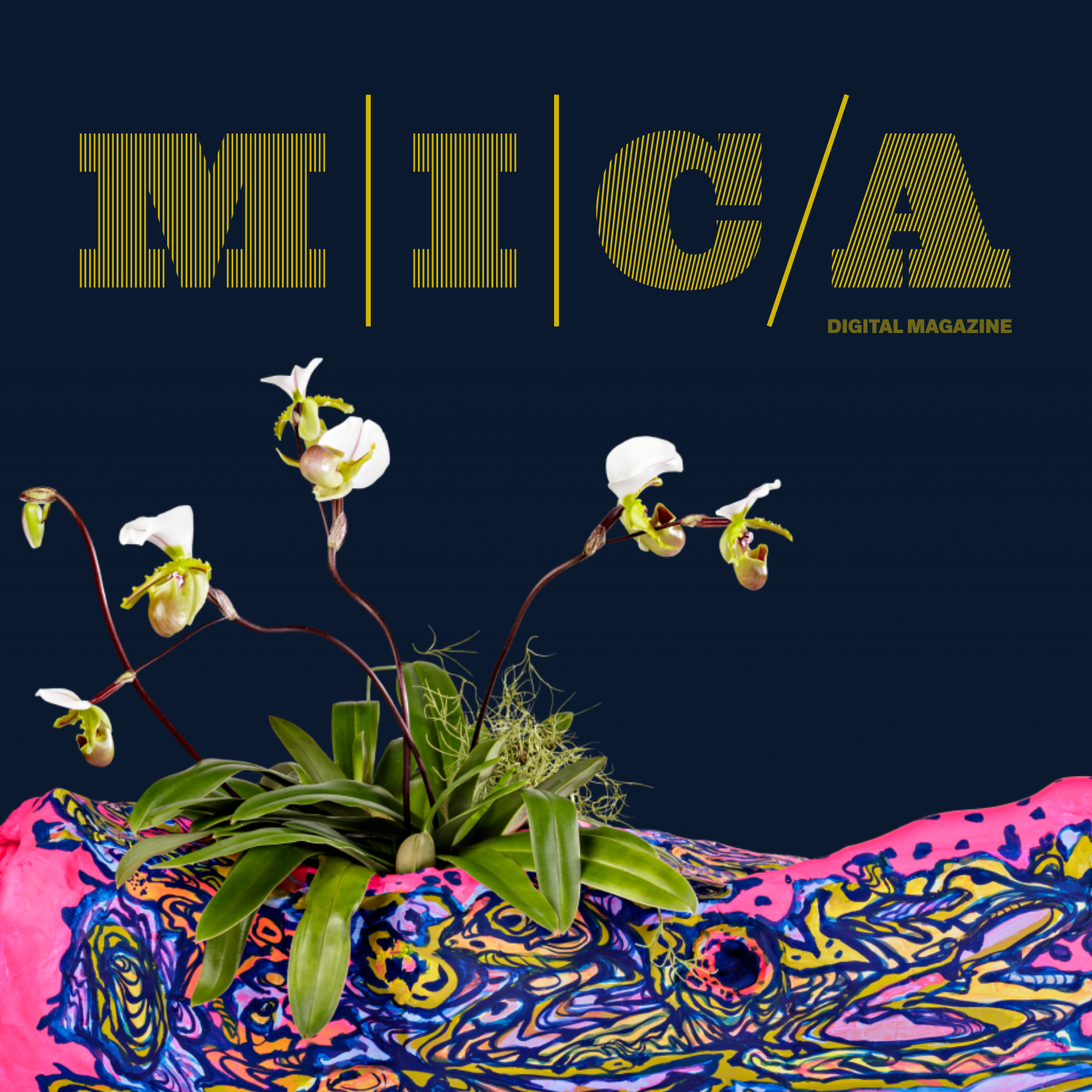 MICA February 2024 | MICA