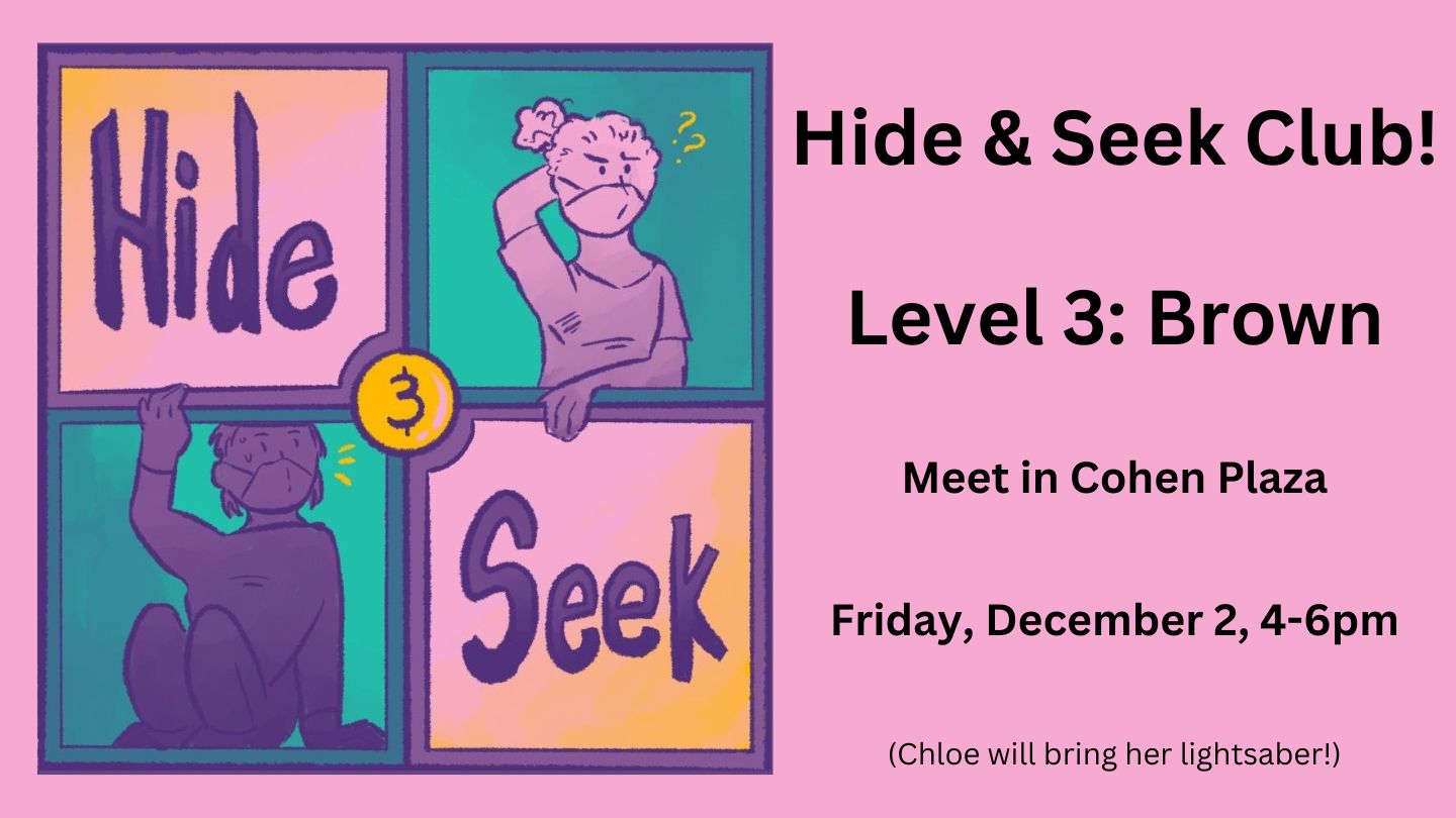 Hide & Seek: Level 3 | MICA