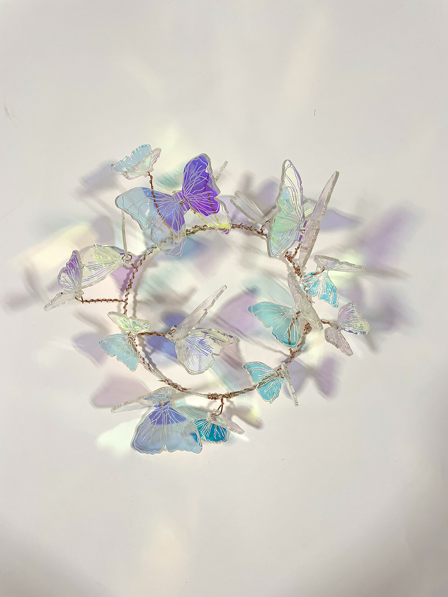 Student Space Gallery: Life of A Flower | MICA