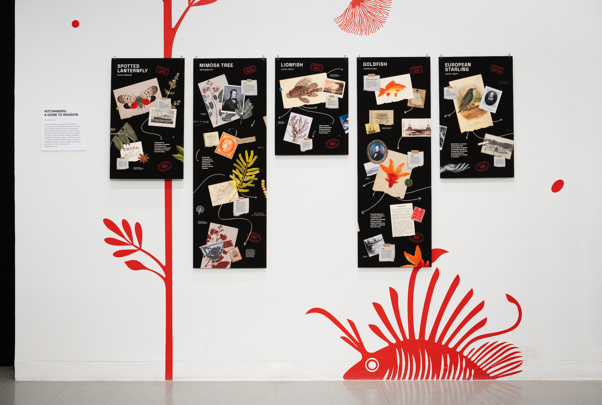 2025 MICA Grad Show II | MICA